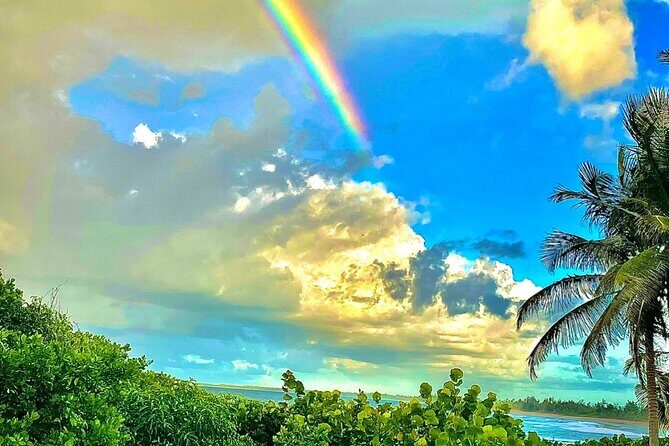 Crash boat beach with snorkeling and Gozalandia waterfalls - Who Will Love This Tour?