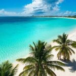 Cristal Half Day Friendly Island Snorkeling Tour - Authentic Traveler Perspectives
