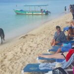 Cruise Ship Excursion in Montego Bay - The Sum Up: A Solid Choice for Limited Time