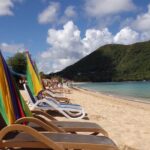 Cruise Ship Port Beach Shuttle - Authentic Experiences and Guest Perspectives