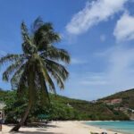 Cruise Ship Round Transfer to Morne Rouge Beach (BBC Beach) - Why This Transfer is Worth Considering