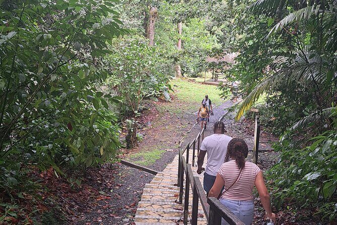 *Cruise Stopover* - CASCADE WITH CRAYFISH- Sainte-Anne Beach - Authentic Experiences and Authenticity