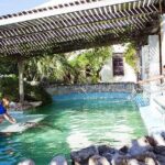 Crystal Caves, Aquarium, City of Hamilton and Ferry - Transportation & Logistics