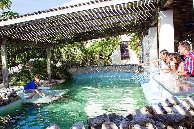 Crystal Caves, Aquarium, City of Hamilton and Ferry - Transportation & Logistics