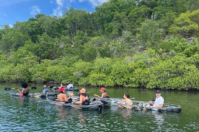 Crystal Kayak & Snorkel Eco Tour (with transfer) - Analyzing the Value: Is It Worth It?
