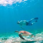 Culebra Snorkel and Turtle Adventure with Transport - Pricing and Value