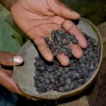 Cultural Safari from Punta Cana - Practical Details and Tips