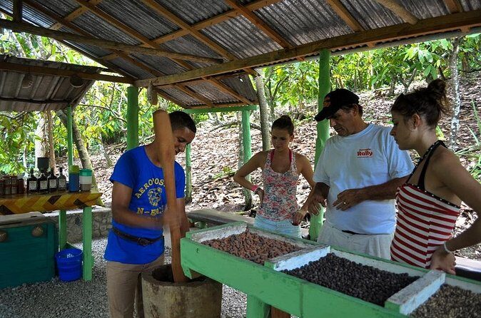 Cultural Safari Tour from Punta Cana - Final Thoughts