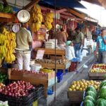 Cultural Safari Tour through the countryside of the Dominican Republic - A Detailed Look at the Tour