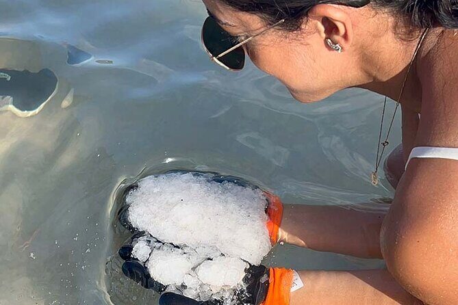 Cultural Salt Picking Experience in Anguilla - How Does the Tour Deliver Value?