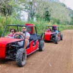 Cumayasa Private Buggies Tour from Santo Domingo - Overview of the Tour