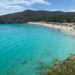 Curacao Sea Turtle Swim and West Side Natural Highlights - Authentic Traveler Perspectives