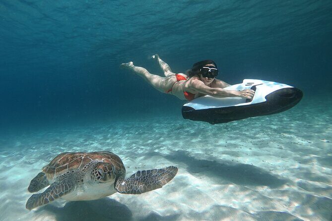 Curaçao Seabob in Playa Piskado Adventure with Sea Turtles - The Guided Tour Experience