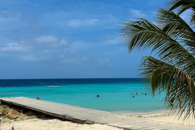 Curacao's Beaches & Blowholes: Exclusive 4-Hour Private Tour - Discovering Curacao’s Coastal Treasures: A Detailed Tour Breakdown