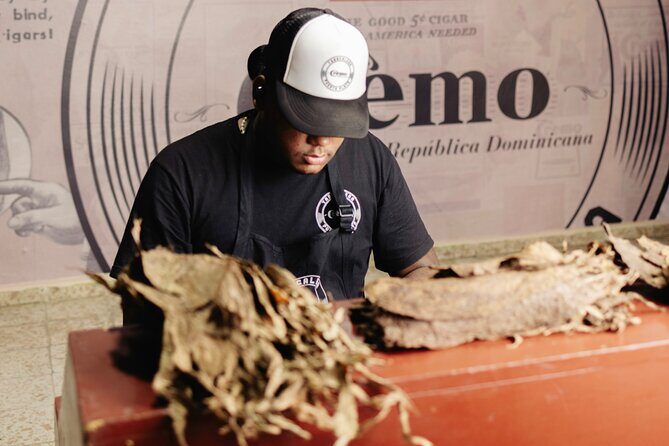 Custom Blend Cigar Experience in Puerto Plata - What You Can Expect from the Cremo Cigar Experience