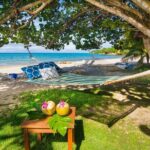 Customized Horseback Riding With One Of Four River Rapid Adventures - Whats Included and Whats Not