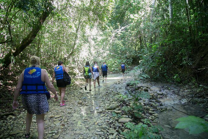 Damajagua Waterfalls Adventure - The Experience from the Reviews