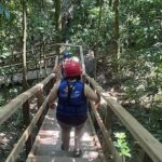 Damajagua Waterfalls Excursion With round-trip transportation - Authentic Reviews and Real Experiences