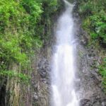 Dark View Falls Tour and Beach - Who Will Appreciate This Tour?