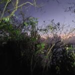 Dawn of the Summits: Hiking and Breakfast Facing the Sun - Reaching the Summit: Views and Breakfast