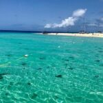 Day Sail without transportation - Final Thoughts