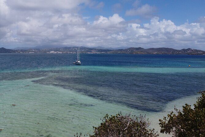 Day trip at sea to the Fonds Blancs Martinique Windward Coast - Price & Value Analysis