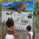 Day Trip by Boat from Le Robert - What to Expect from the Boat Trip from Le Robert