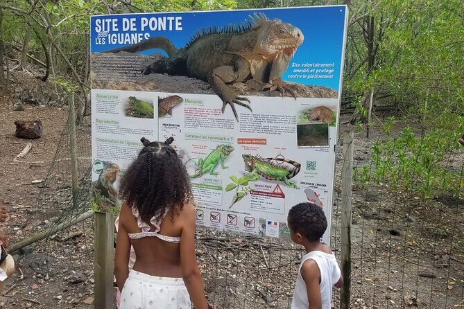 Day Trip by Boat from Le Robert - What to Expect from the Boat Trip from Le Robert