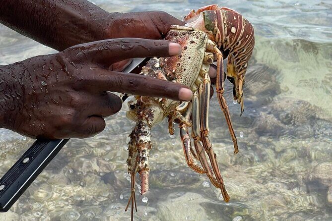 Day Trip to Negril from Montego Bay/Boat Ride to Booby Cay Island/Lobster Lunch - Who Would Enjoy This Tour?