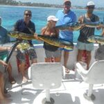 Deep Sea Fishing Half Day - The Real Experiences: Voices from Past Travelers