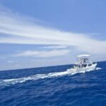 Deep Sea Sport Fishing From Montego Bay - Who Will Love This Tour?