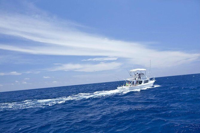 Deep Sea Sport Fishing From Montego Bay - Who Will Love This Tour?