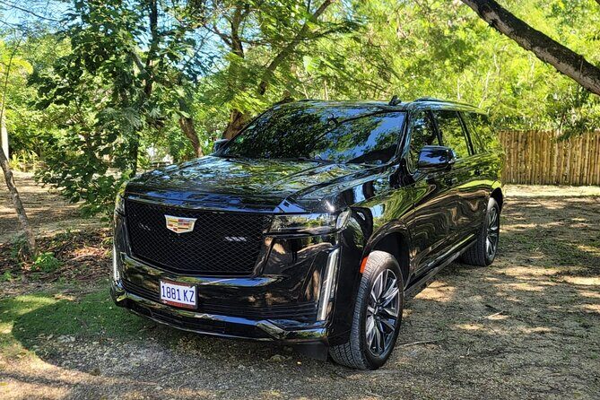 Deluxe Private Transportation Montego Bay - What to Expect During Your Journey