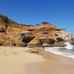 DG Tours - Full-Day Private Tour Experience - Authentic Traveler Perspectives