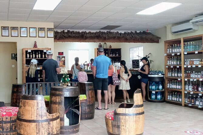 Discover Clarkes Court Rum Distillery  Transportation Only - Starting Point: Your Meeting and Pick-Up