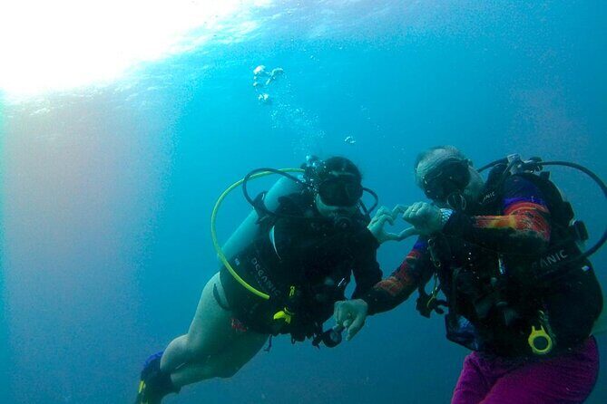 Discover Diving in Curaçao with Transportation Included - Who Will Love This Tour?