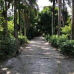 Discover Dominican life - Who Will Love This Experience?