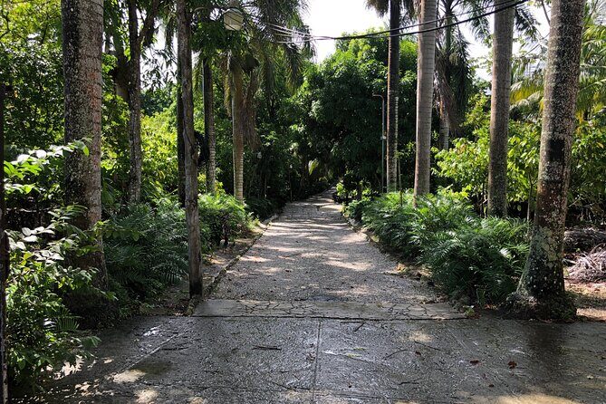 Discover Dominican life - Who Will Love This Experience?