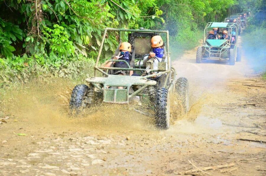Discover Punta Cana: Buggy Tour, El Macao Beach, Blue Cenote - Visiting the Dominican Farm: Culture and Flavors