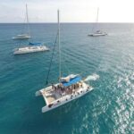 Discover Saona Island: Enjoy The Paradise - Authentic Experiences and Common Challenges