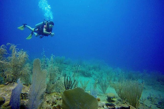 Discover Scuba Diving - Whats Included and What’s Not