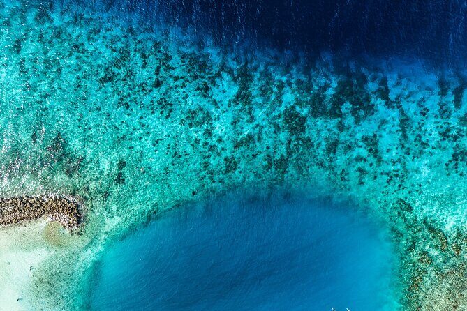 Discover Scuba Diving Experience - What to Expect at Each Step