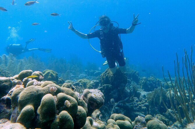 Discover Scuba Diving Experience - Meeting Points and Practical Details