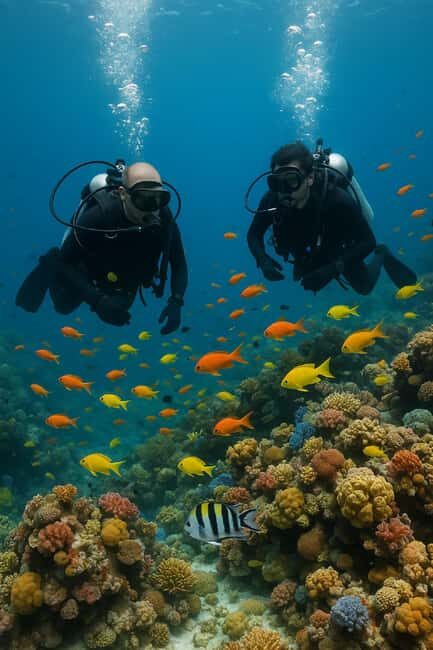 Discover Scuba Diving for Beginners Negril - What Makes This Tour Stand Out