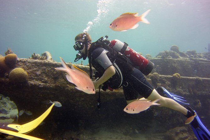 Discover Scuba Diving in Curacao - The Value of This Experience
