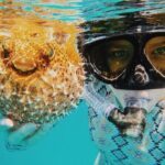 Discover Scuba Diving in Montego Bay-ONE Tank (First time Diving) - Final Thoughts