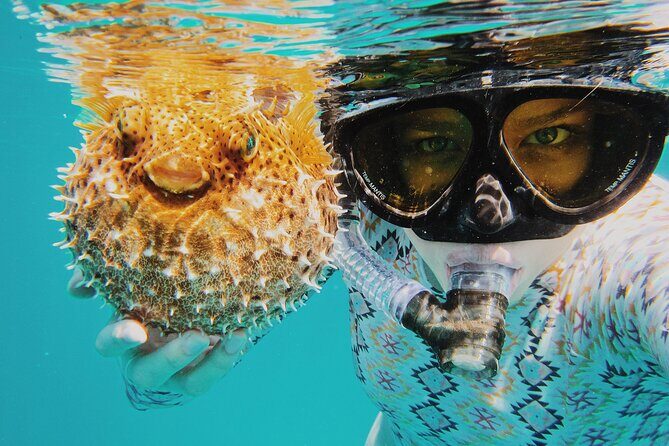 Discover Scuba Diving in Montego Bay-ONE Tank (First time Diving) - Final Thoughts