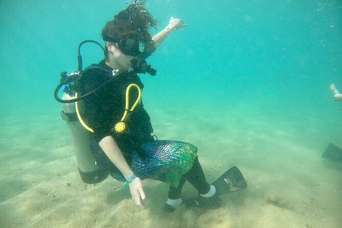 Discover Scuba Diving in San Juan: Perfect for First-Time Divers - Who Should Consider This Tour?