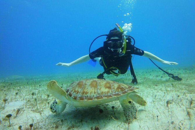Discover Scuba Diving with No Certification in St Thomas - Authentic Underwater Encounters and Safety