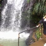 Discover the Magic of Annandale Waterfall & Forest Park - Practical Tips for Your Tour